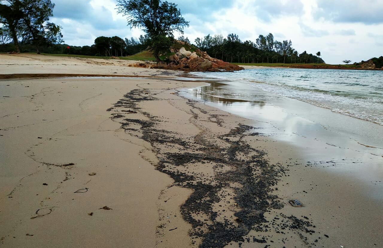 Setiap Tahun, Limbah Minyak Hitam Cemari Pantai Bintan - mejaredaksi